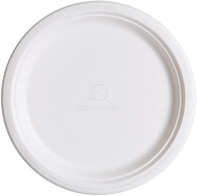 10in Plate