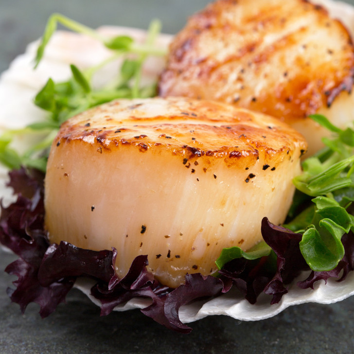Jumbo Alaska Scallops | FishEx Seafoods