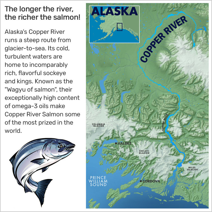 20 lb Case - Copper River Sockeye Salmon | FishEx Seafoods