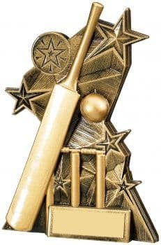 Cricket Trophy RC142 - Awards Engraving