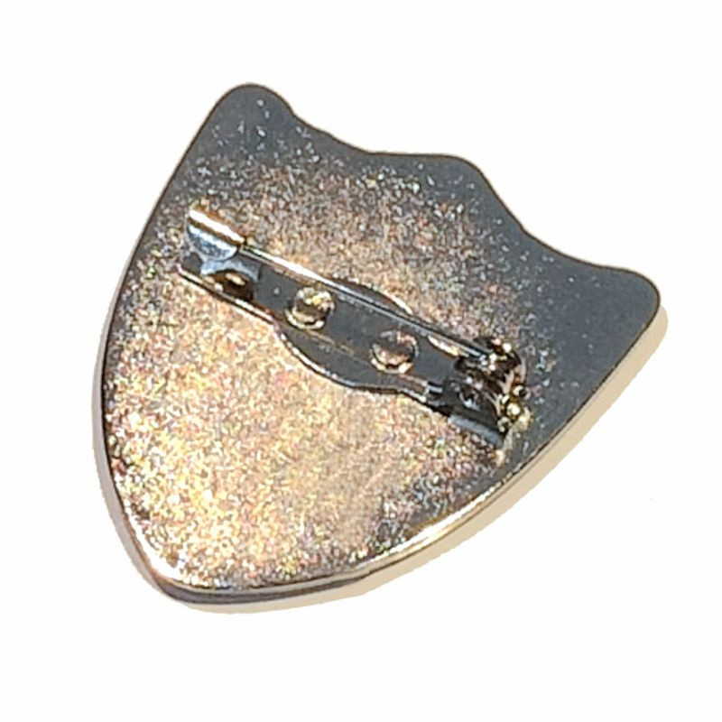 LEAD LEARNER - SHIELD Lapel Badge - Awards Engraving