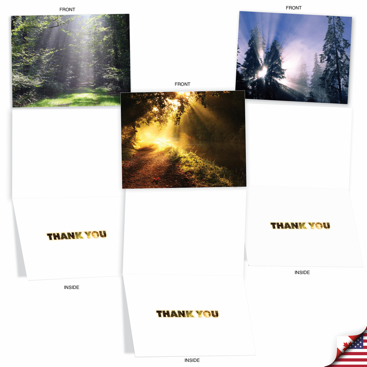Shining Through Thank You Notecards