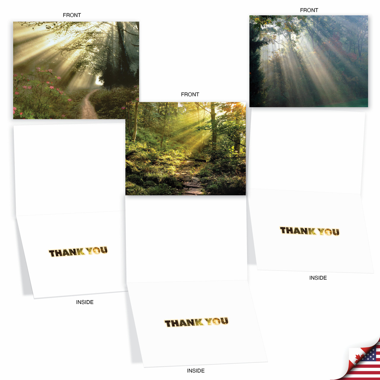 Shining Through Thank You Notecards