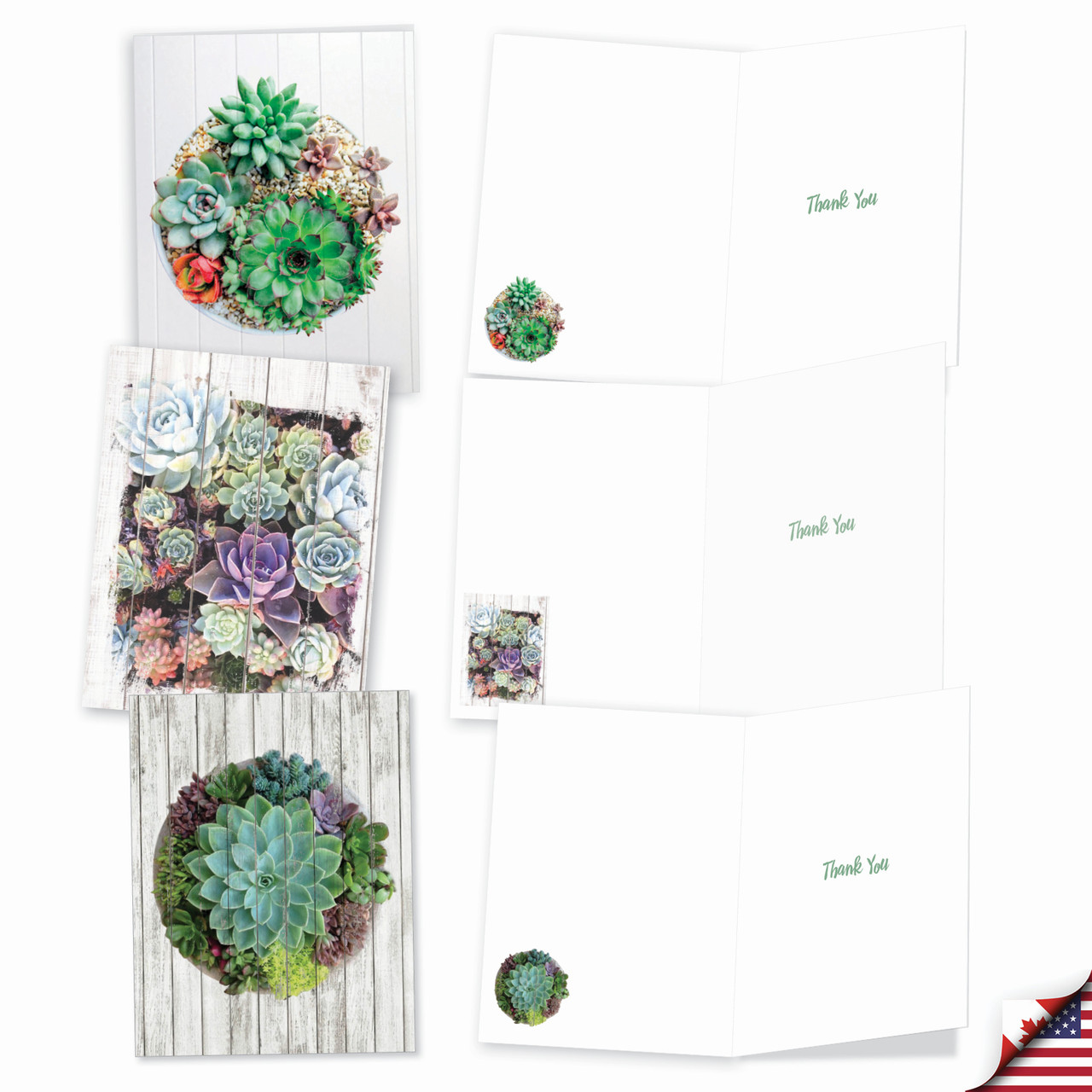Shiplap Succulents, Assorted Set Of Thank You Notecards - AM6438TYG ...