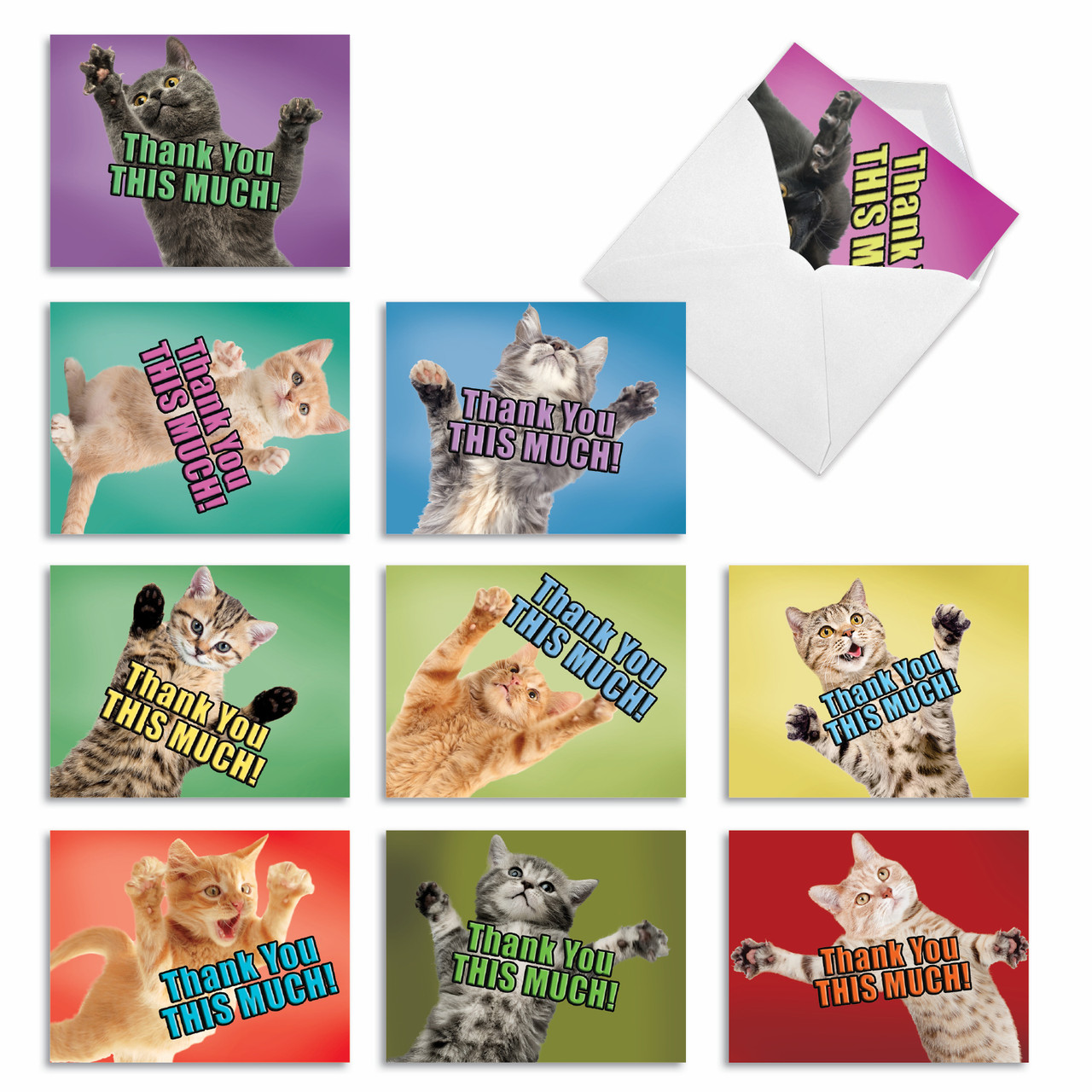 Cat Big Thanks Thank You Notecards
