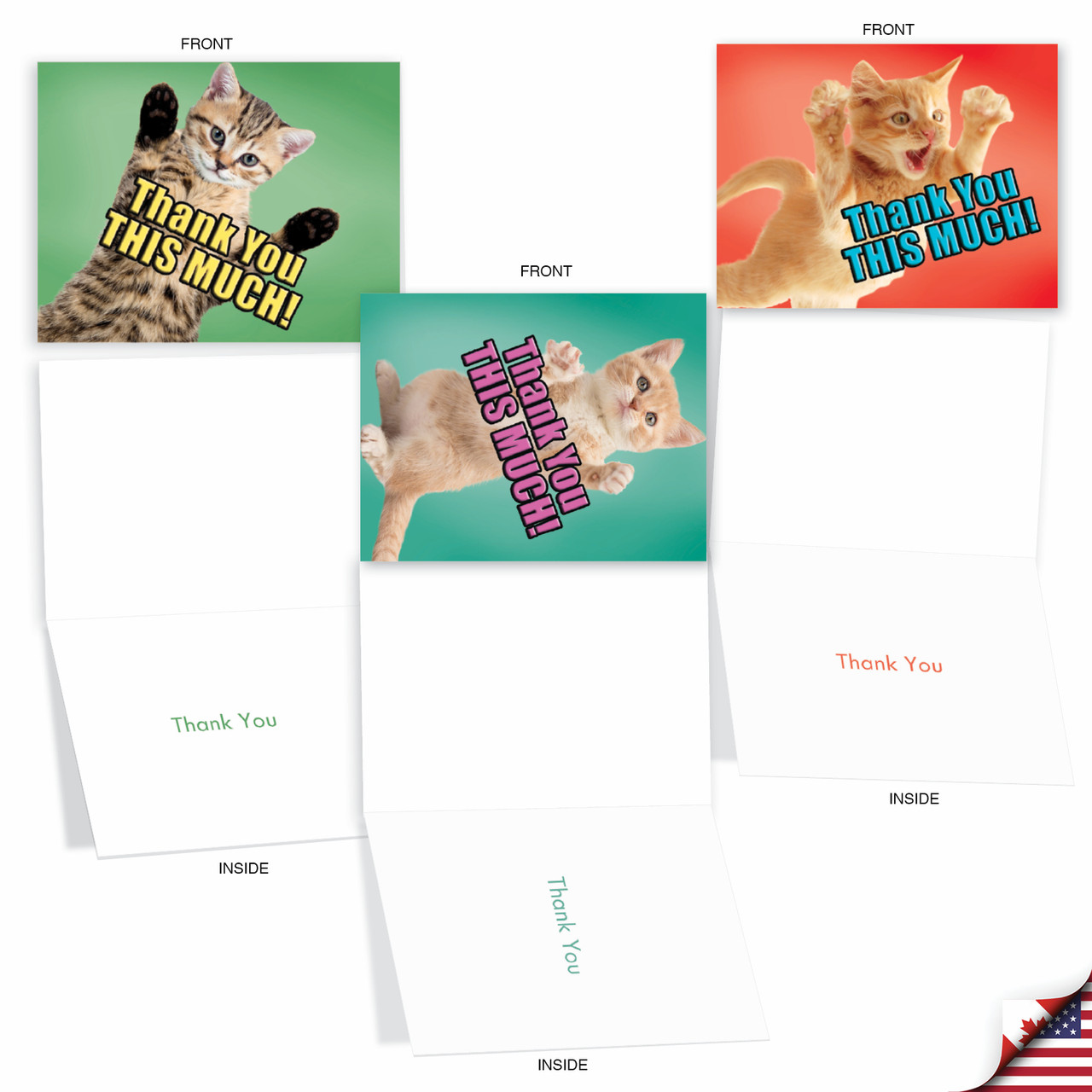 Cat Big Thanks Thank You Notecards