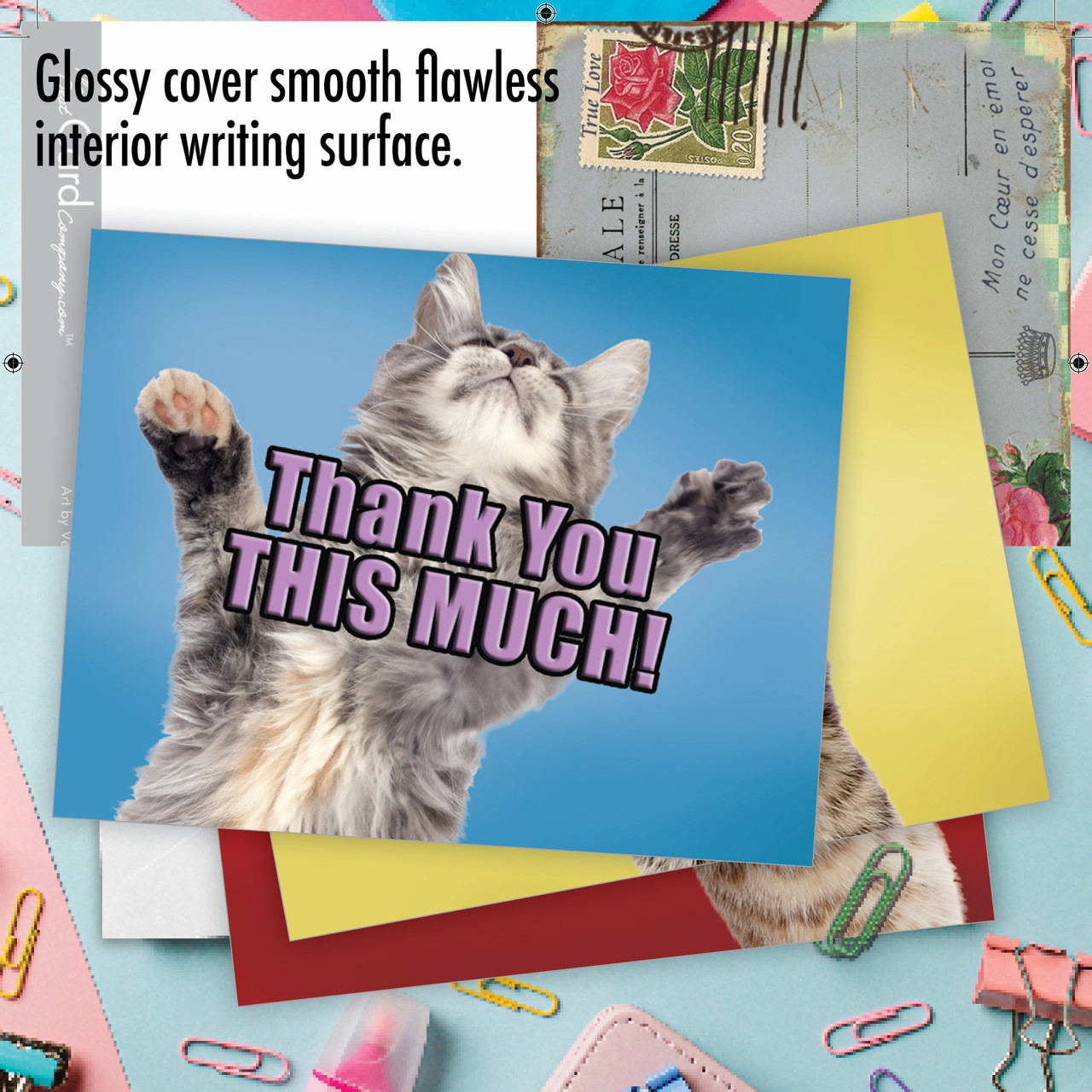 Cat Big Thanks Thank You Notecards
