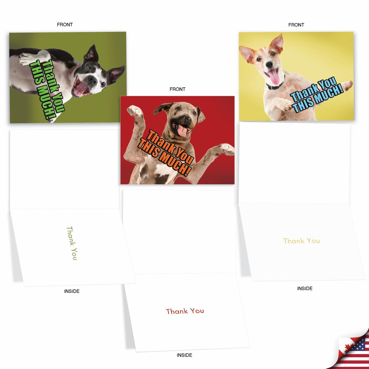 Dog Big Thanks - Thank You Notecards