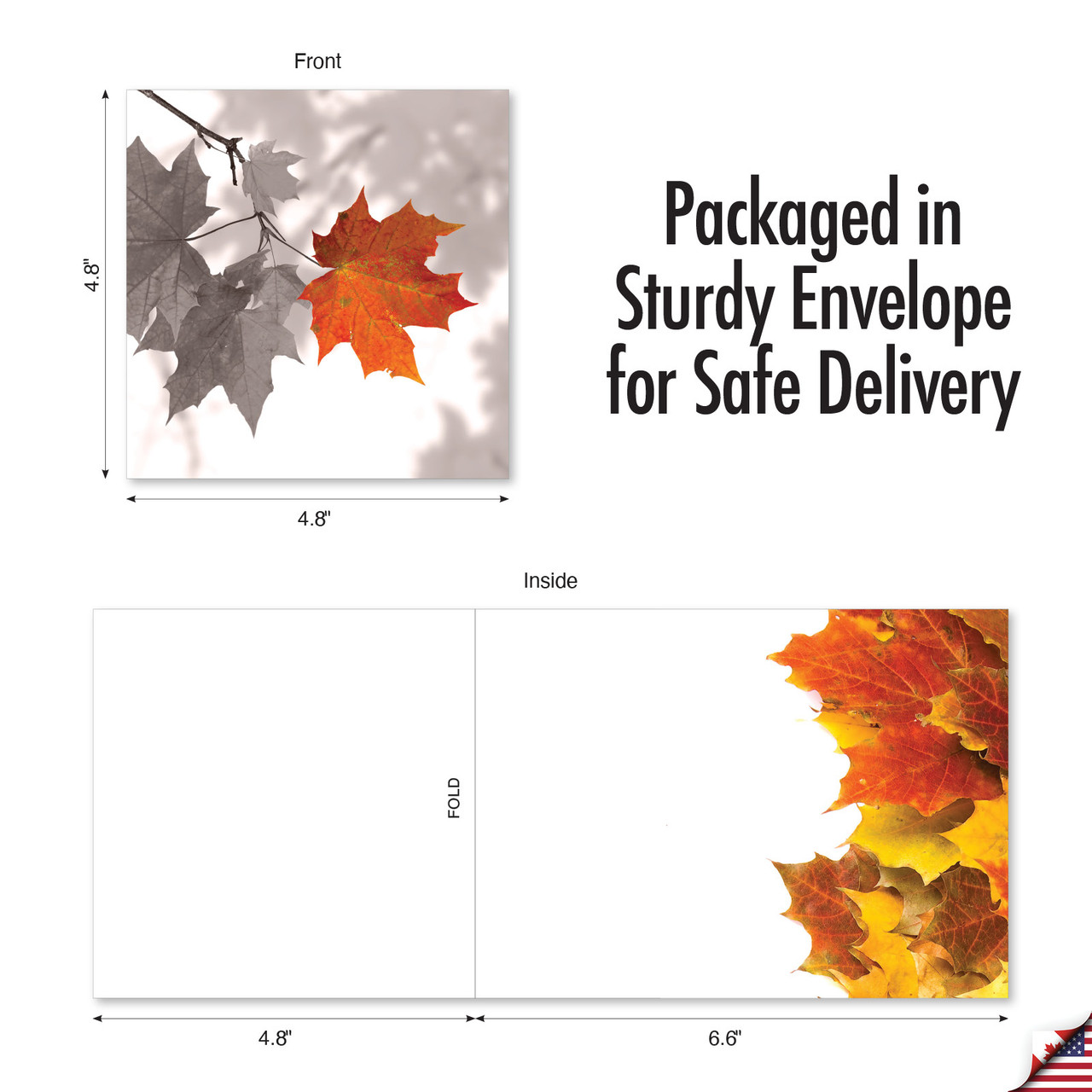 Autumn Leaf - Maple, Printed Square-Top All Occasions Greeting Card ...