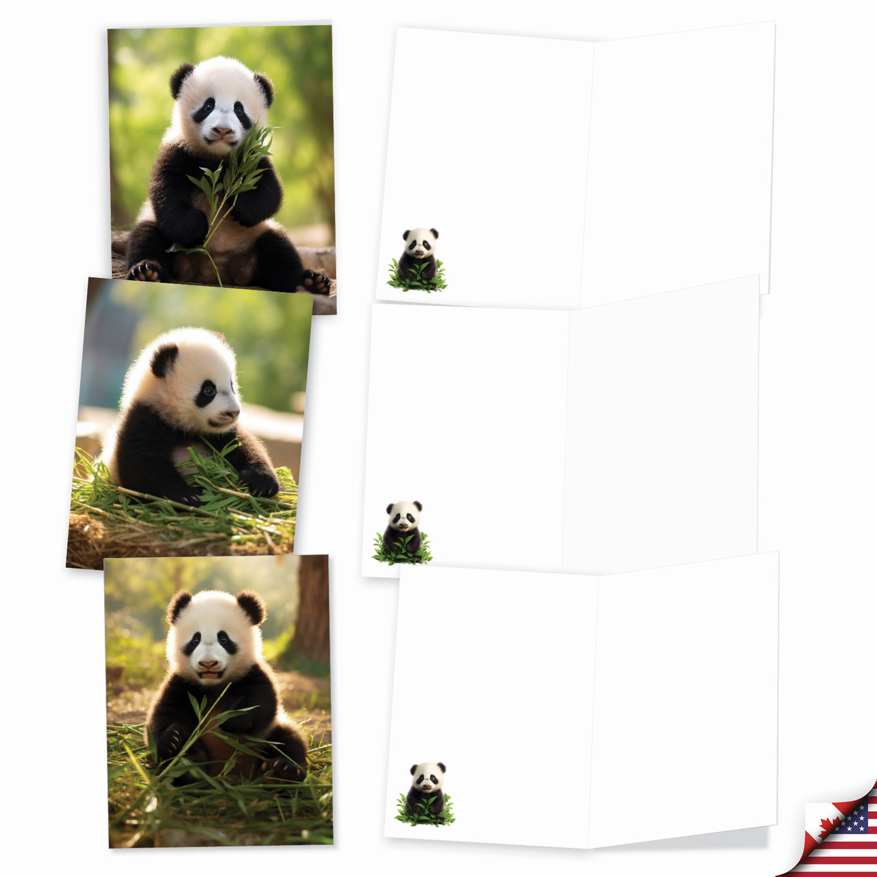 Panda Pups, Assorted Set Of Printed Blank All Occasions Notecards ...