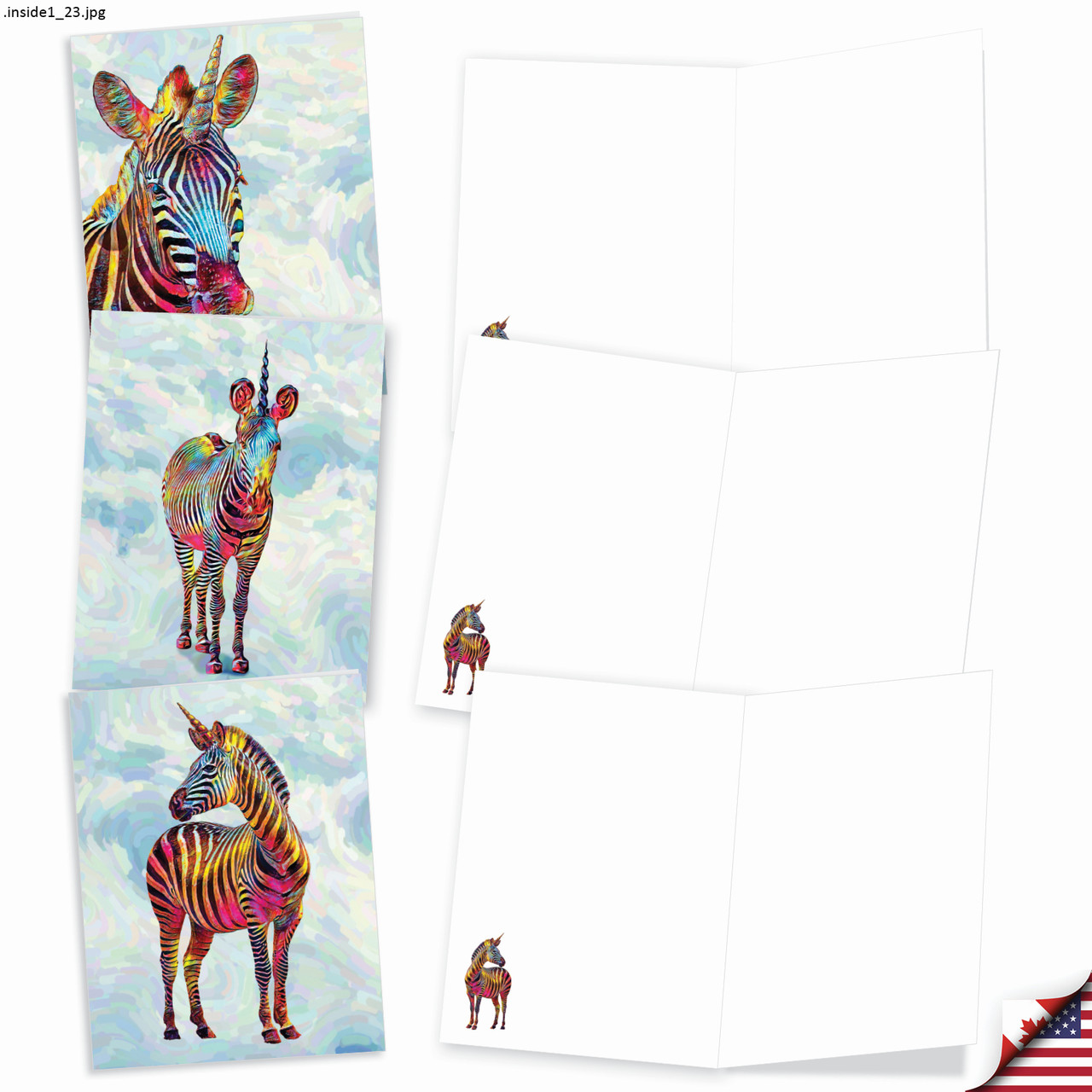 Zebra Corns Assorted Set Of Printed Blank All Occasions Notecards