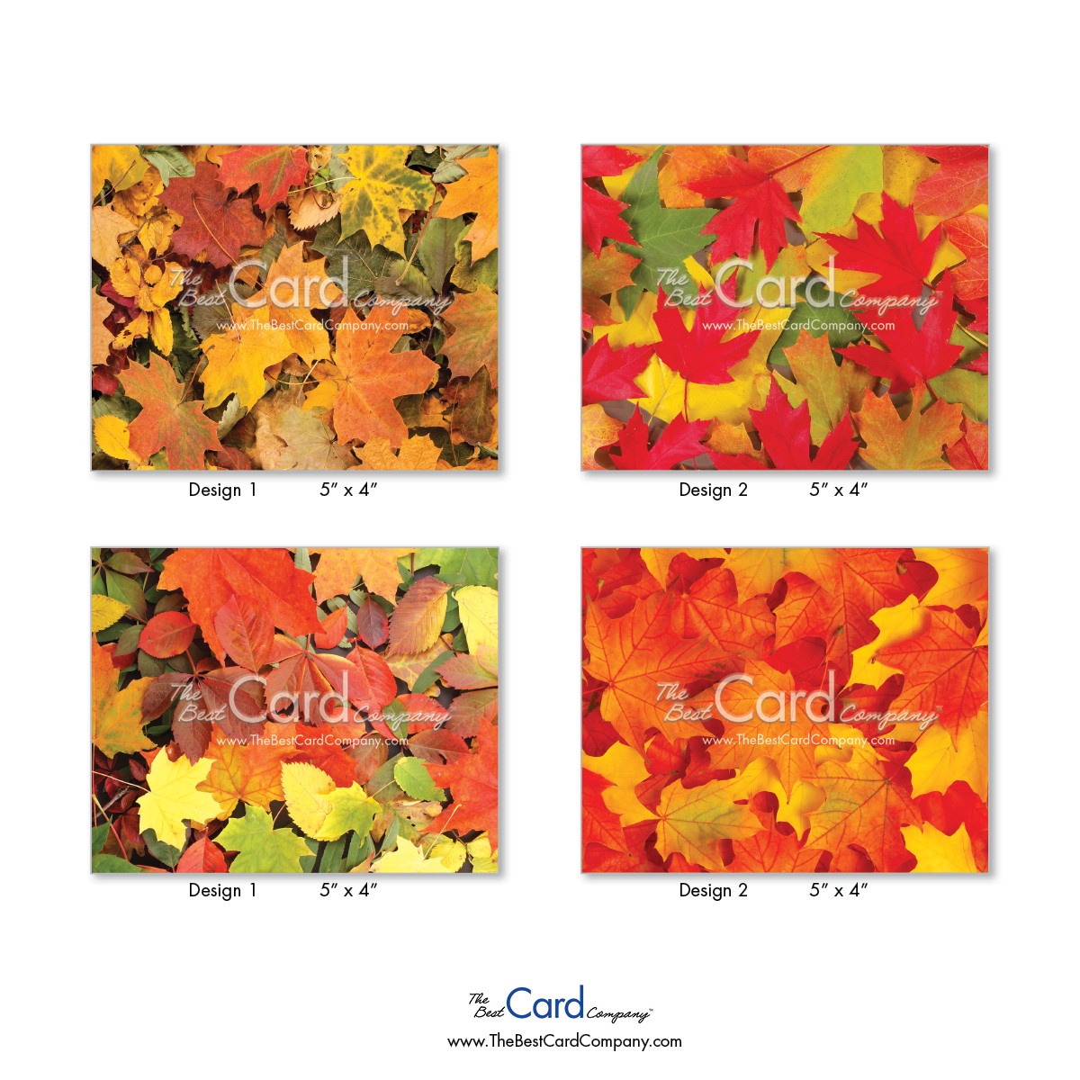 Fall Leaves Notecards Free Downloads - TheBestCardCompany.com