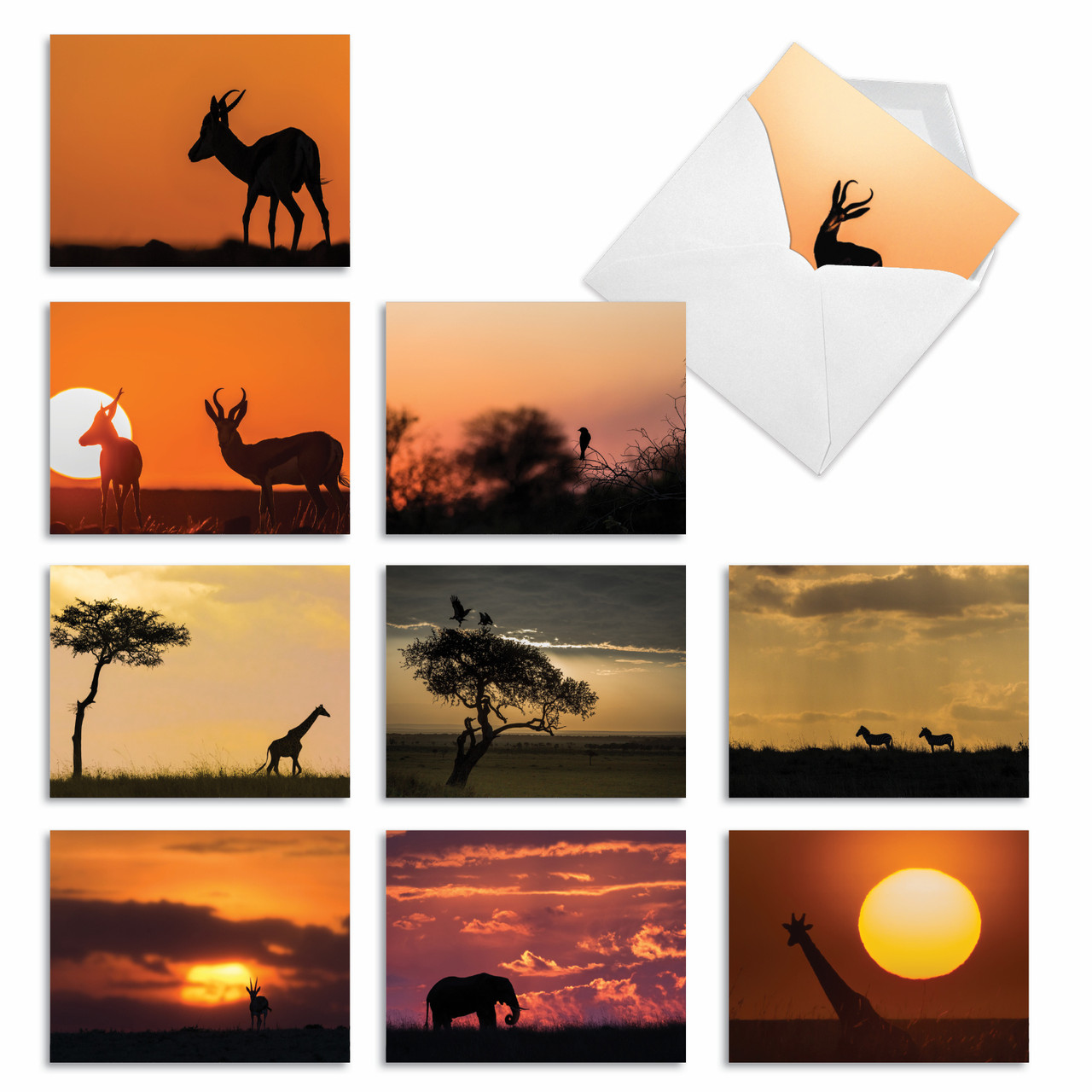 Safari Sunsets Thank You Notecards