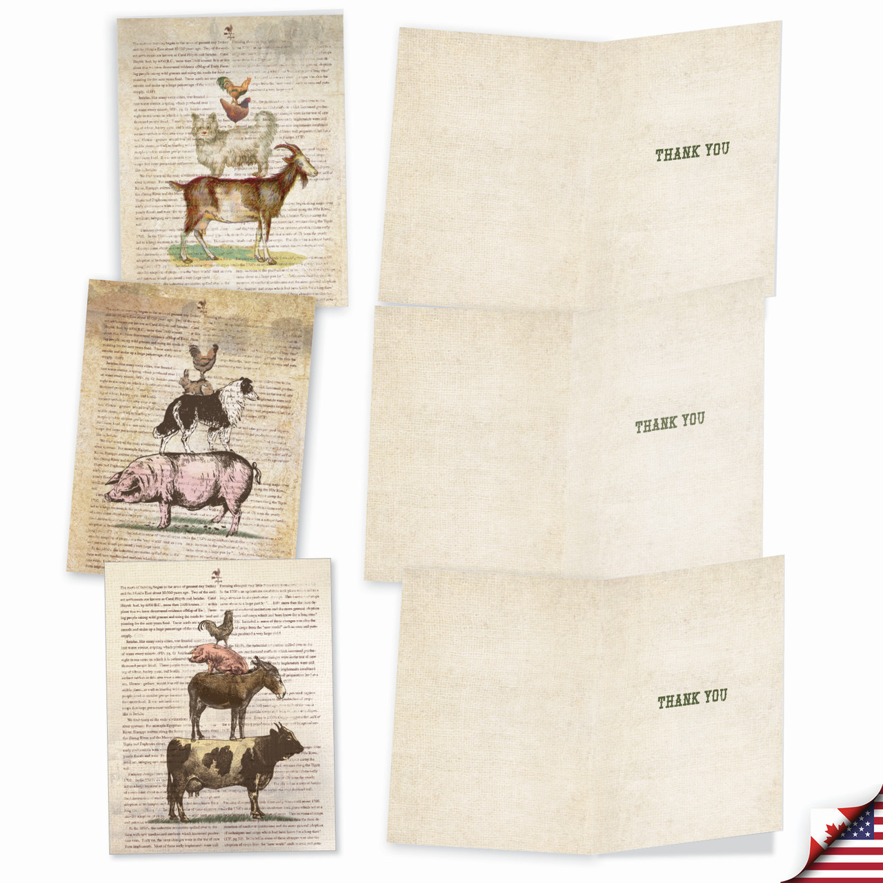 Farm Stand Thank You Notecards