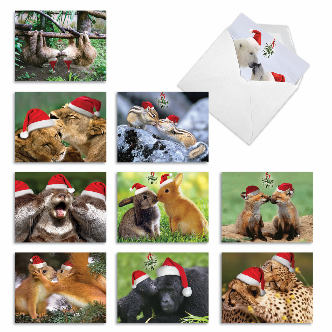 Holiday Animal Smackers Christmas Notecards
