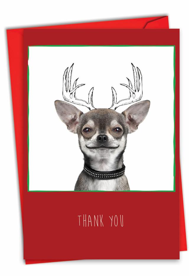 Dogs & Doodles - C Blank Christmas Thank You Greeting Card