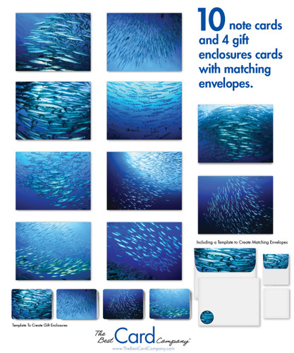 Deep Thoughts Sea Life Notecards Free Downloads