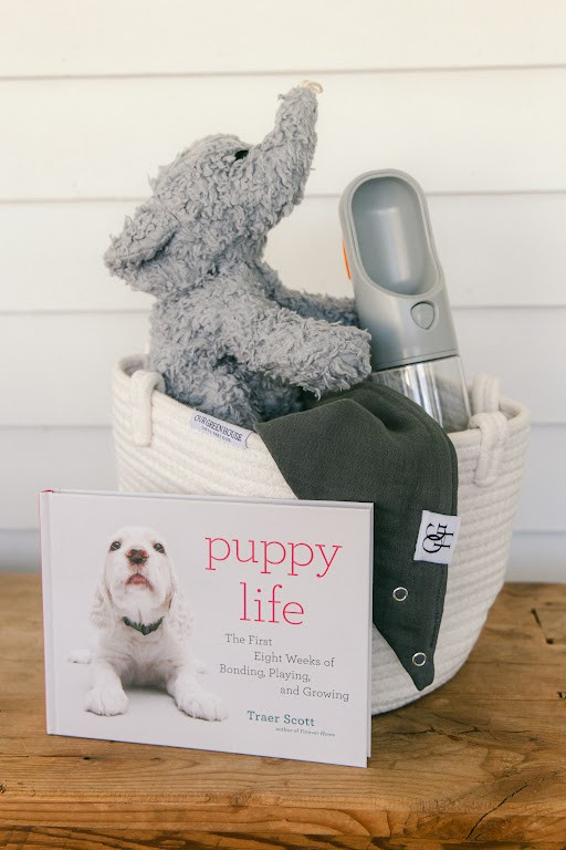Puppy Gift Baskets | Gifts for New Dogs | Dog Walking Essentials Basket