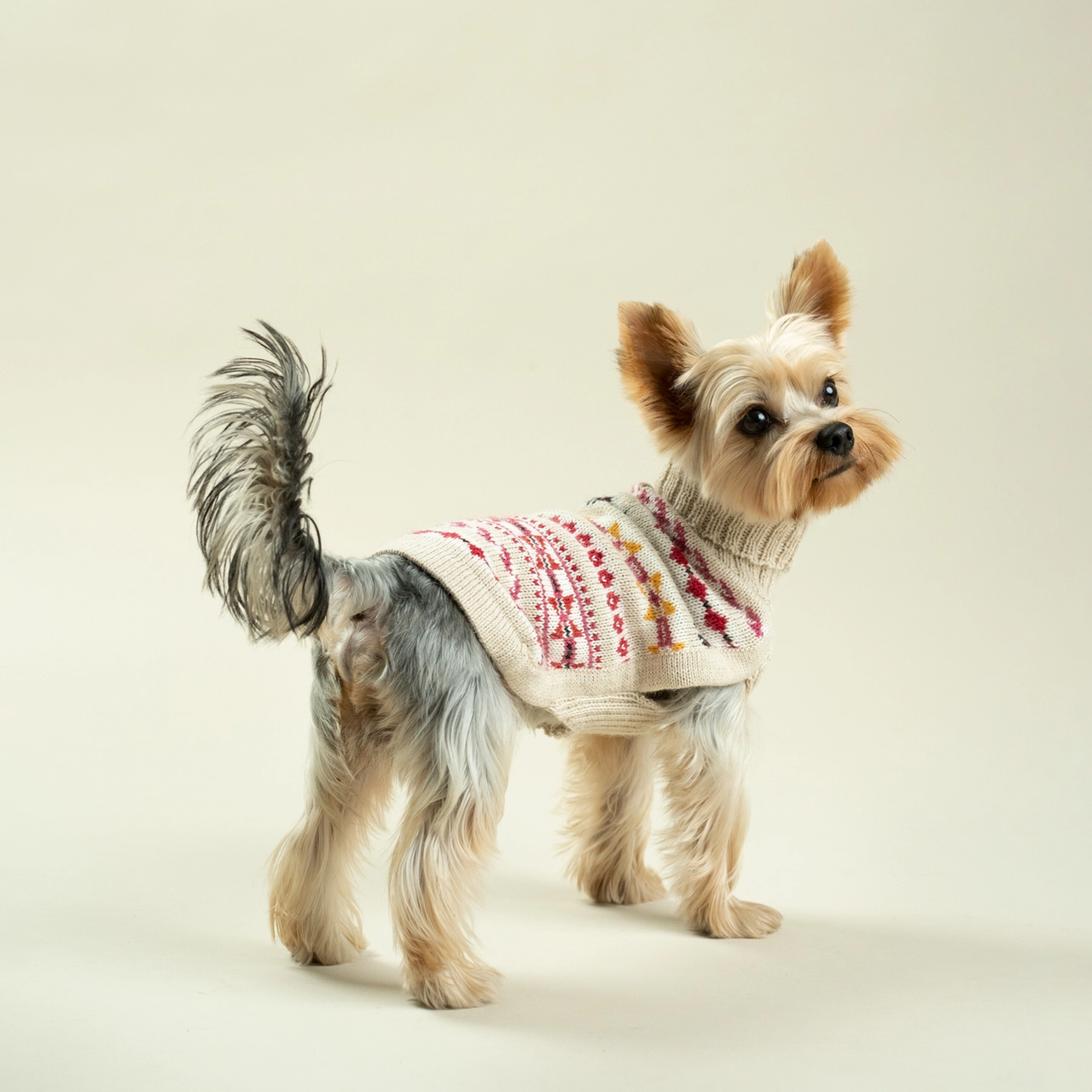 Cute Dog Sweater | Girl | Natural Wool