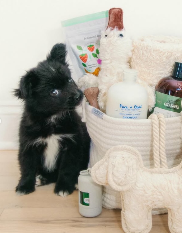 How to Choose the Perfect Dog Gift Basket: A Pet Owner's Guide - Our ...
