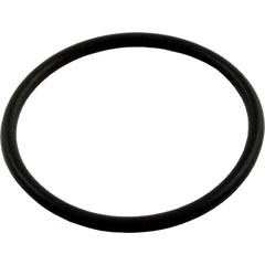 Pentair Sta-Rite Pump Union O-Ring