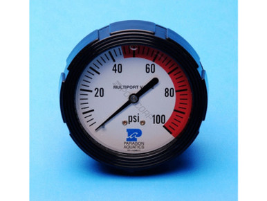 Stark Multiport Pressure Gauge