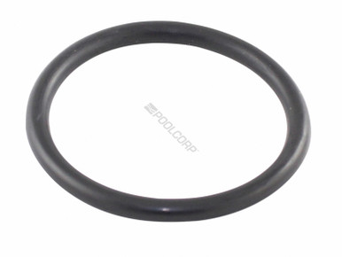 Large Piston & Bulkhead Oring