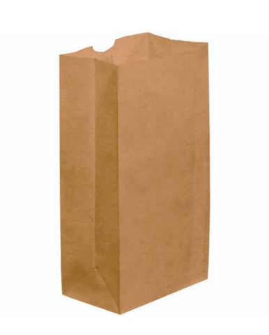20 Pound Paper Bags (500/cs)