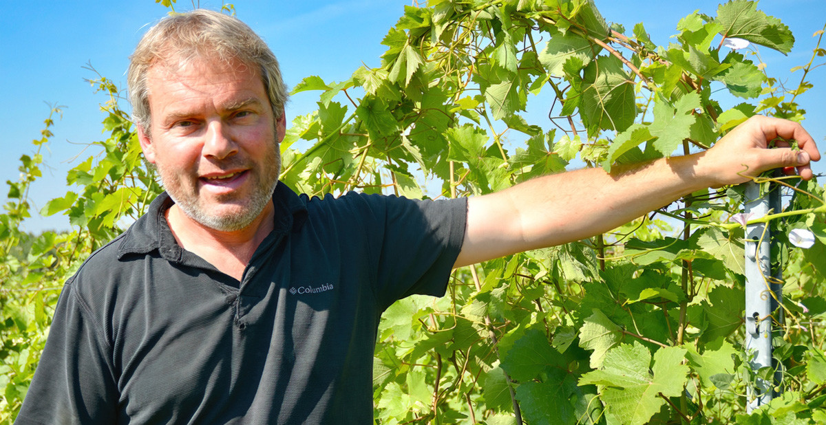 Fabrice Gasnier - Moore Brothers Wine Company