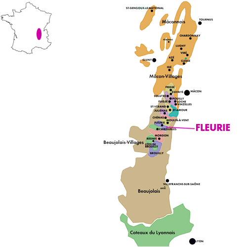 Fleurie Cuvée Tradition Domaine de Robert 2020 DE - Moore Brothers Wine ...