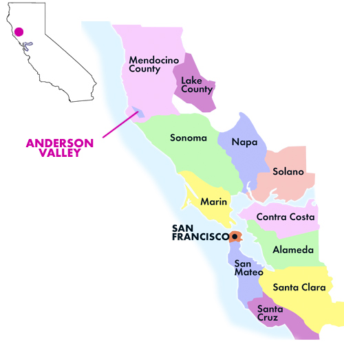 Anderson Valley Pinot Noir Out-Take 2024 DE - Moore Brothers Wine Company