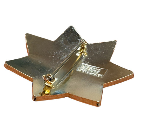 SECURITY SPECIAL OFFICER Lightweight Badge, Pin & Safety Catch, 3x3 ...