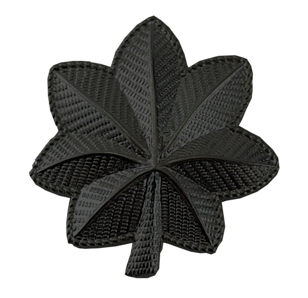 Buy Major, Pin & Safety Catch, Pairs, Regular-1' High - Hero's Pride ...