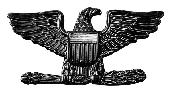 Buy Colonel, Pin & Safety Catch, Pairs, Regular-1' High - Hero's Pride ...