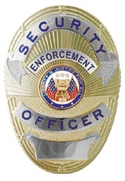 Buy SECURITY ENFORCEMENT OFFICER, LAPD Style, 5-Pc Pin/Catch, 2-1/4x3-3 ...