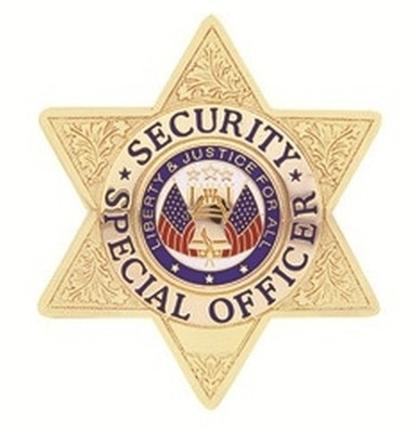 SECURITY SPECIAL OFFICER Badge, Enameled & Plated Durable 5-Pc Pin ...