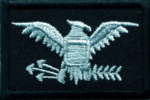 Buy Colonel, Embroidered Rank, Pair, Silver/Black, 1-3/4x1-1/8' - Hero ...