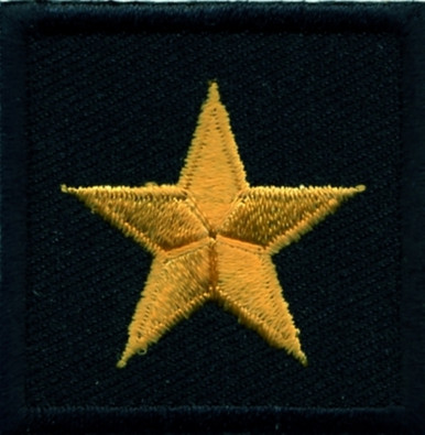 General (1 Star), Embroidered Rank, Pair, Dark Gold/Black, 1-1/2x1-1/2 ...
