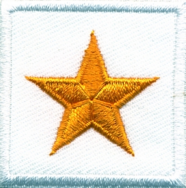 Buy General (1 Star), Embroidered Rank, Pair, Dark Gold/White, 1-1/2x1 ...