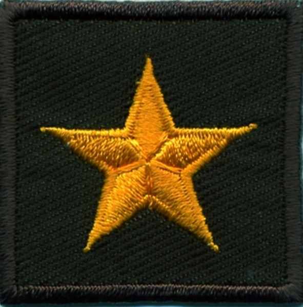 Buy General (1 Star), Embroidered Rank, Pair, Dark Gold/Brown, 1-1/2x1 ...