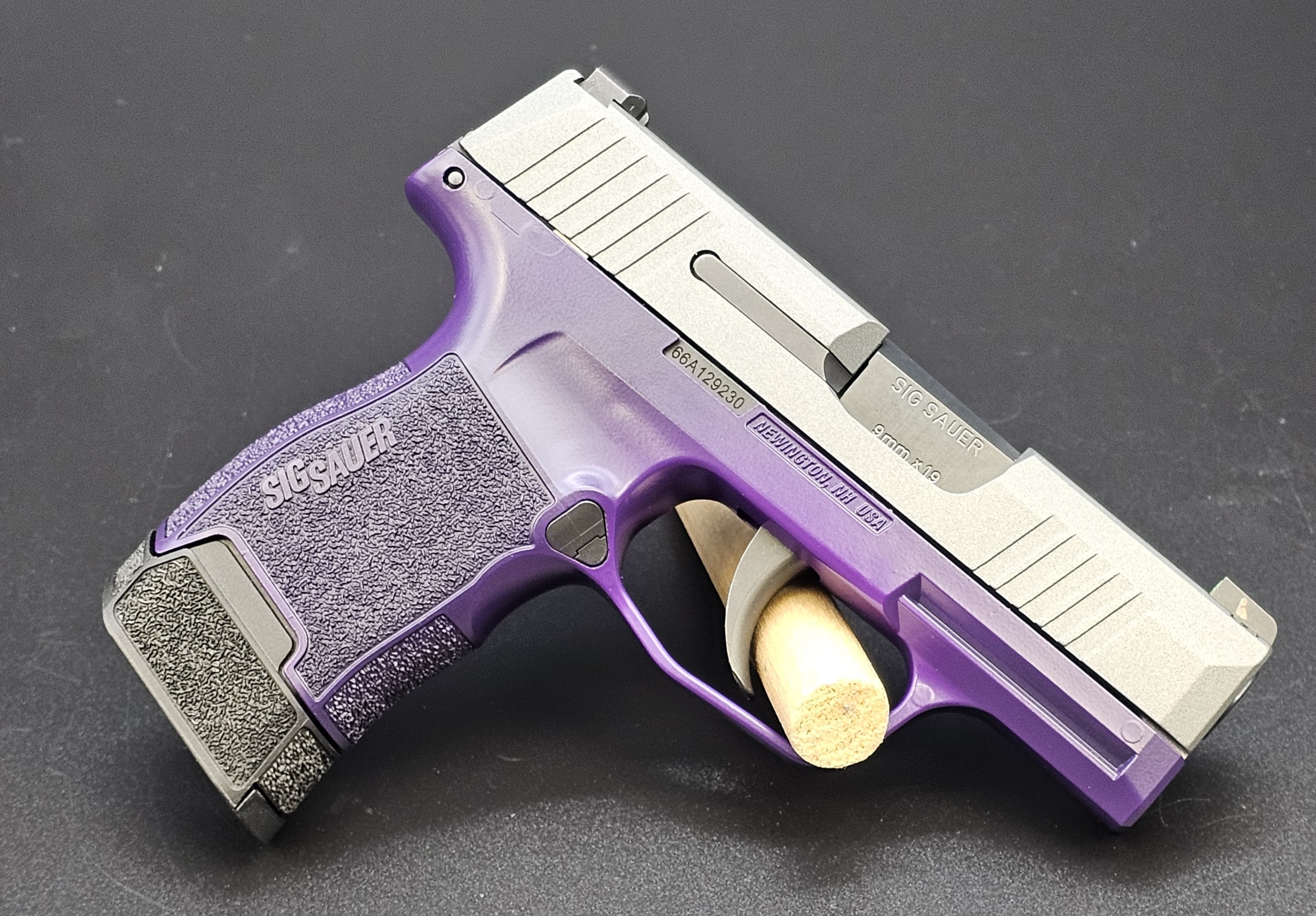 Sig Sauer P365 Custom
