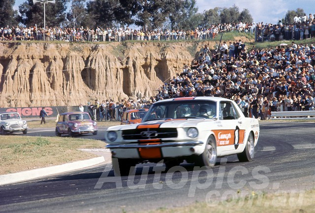 69677 - Kim Aunger, Mustang Hume Weir 1969 - Photographer Jeff Nield ...