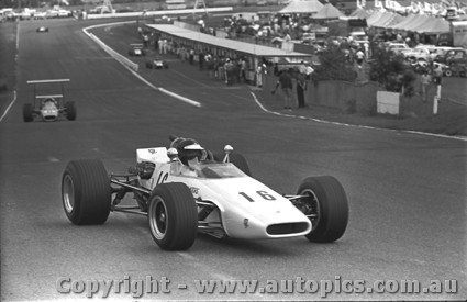 69545 - A. Costanzo McLaren M4A - Tasman Series Sandown 1969 - AUTOPICS