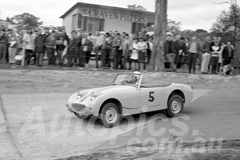 62456 - R Creelman Austin Healey Sprite - Templestowe Hill Climb 1962 ...