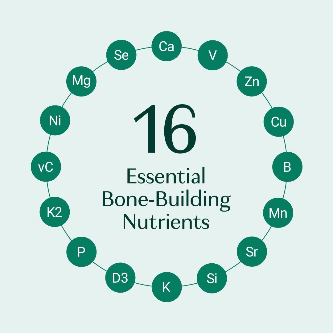 Bone Builder Pack - Natural Vitamins for Bone Health | AlgaeCal