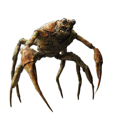 Three-Legged Crab Human Vinyl Car Decal Sticker – Waterproof & UV ...