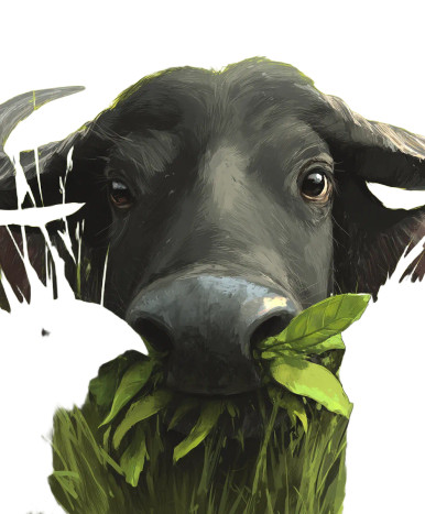 Happy Water Buffalo Vinyl Car Decal Sticker – Waterproof & UV-Resistant ...