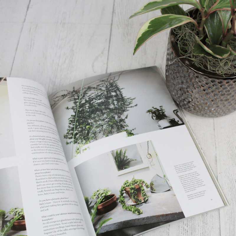Living with the Plants Book | Charlotte Gift Delivery