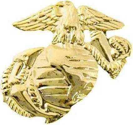 Marine Corps & American Flag Hat/lapel Pin | VetFriends.com
