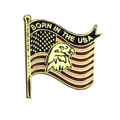 American Flag Lapel Pin with Eagle Graphic | VetFriends